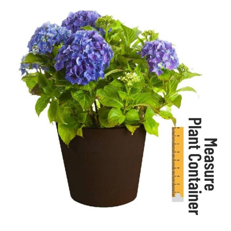 Size Guide – Lift Kit Planter Insert